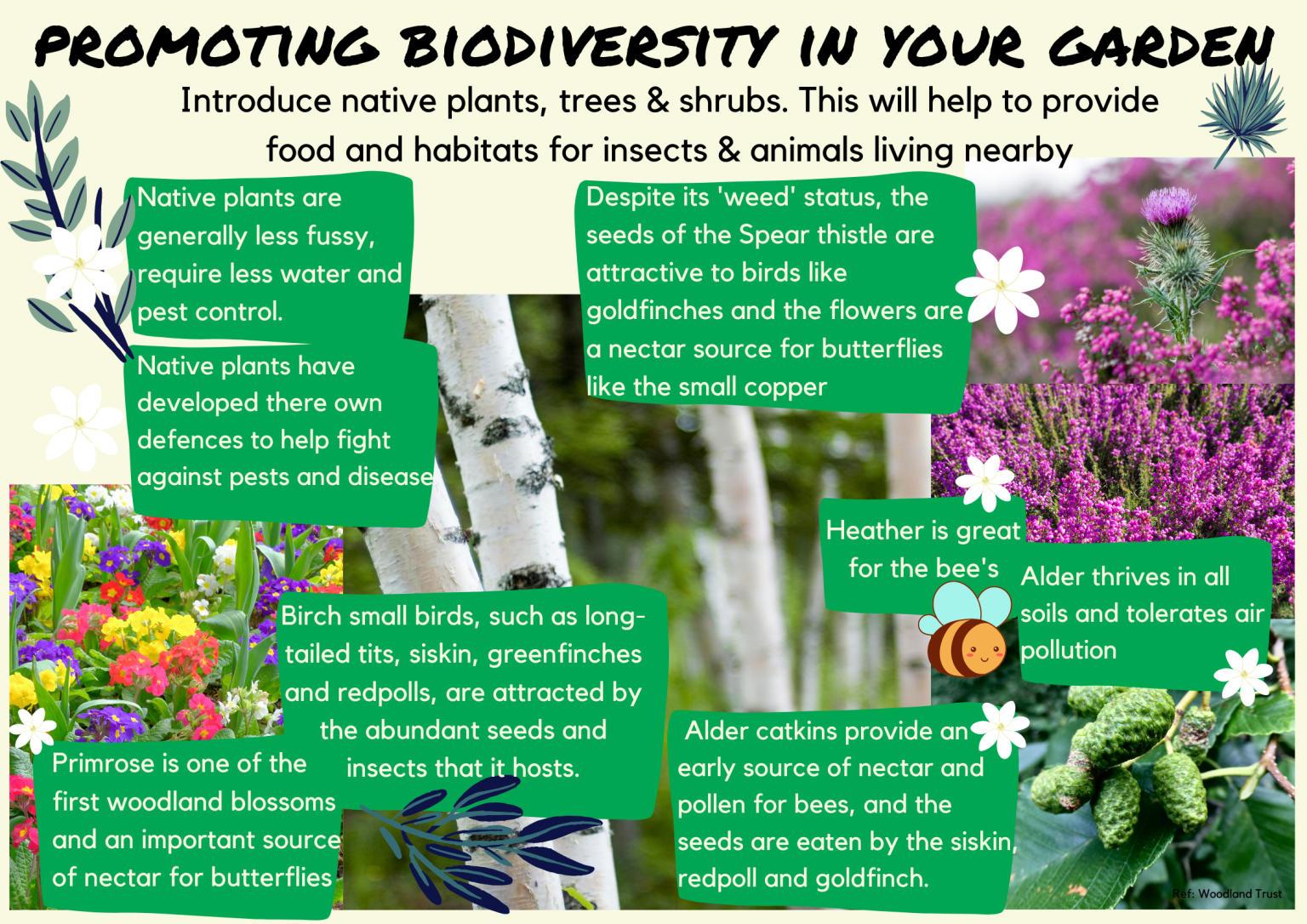 Promoting Native Plants - Sustainable Dollar - Dollar Community ...